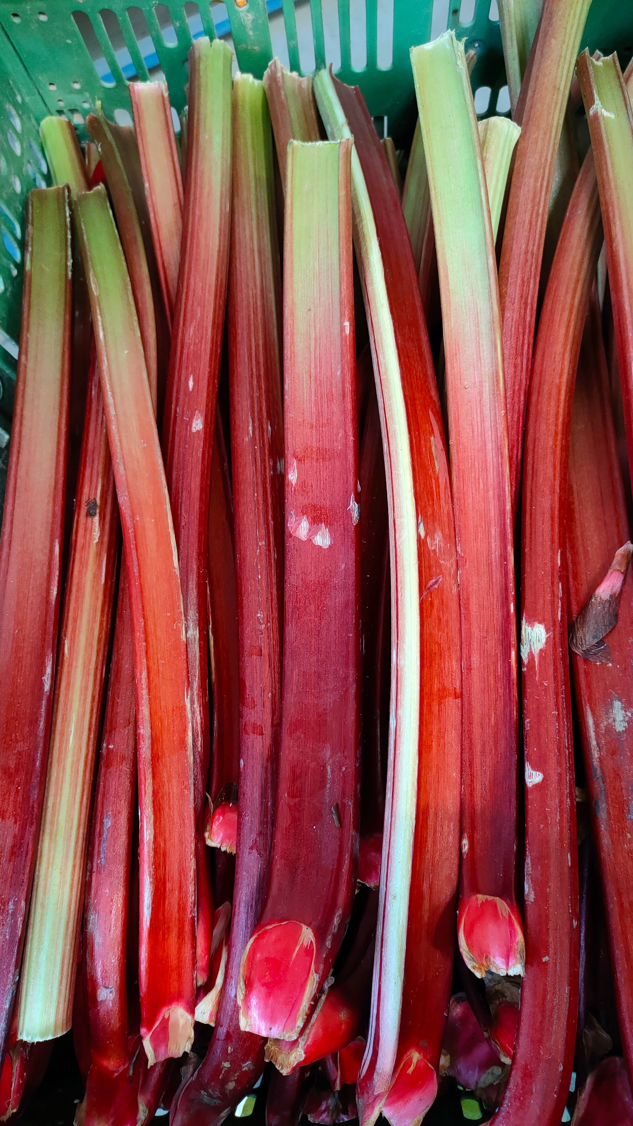 La rhubarbe : toutes les façons de la cuisiner ! – Kelbongoo